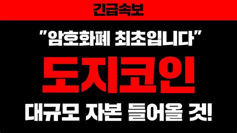 긴급속보 암호화폐 최초입니다 도지코인 대규모 자본 들어올 것 도지코인대응 도지코인호재 도지코인매수 Youtube