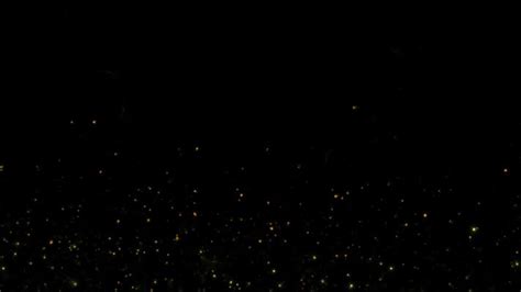 Glow Overlay Stock Video Footage For Free Download
