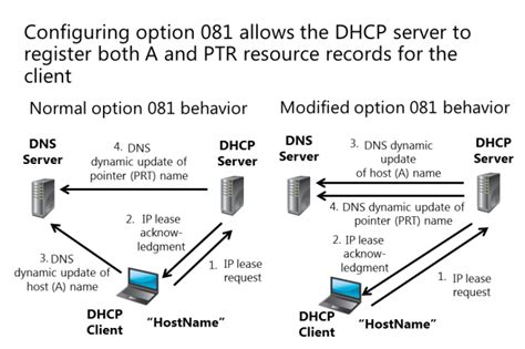 Lab Dhcp And Dns Docx Cet Lab Dhcp And Dns Complete The My Xxx Hot Girl