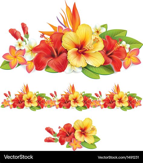 Garland Of Tropical Flowers Royalty Free Vector Image