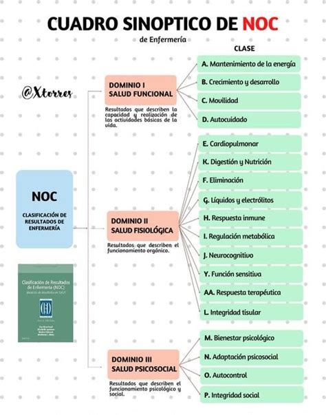 Noc Nic Enfermería Nic Enfermeria Enfermeria Sinoptico