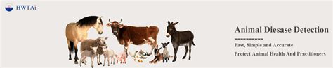 Bovine Nodular Dermatosissheep Poxgoat Pox Virus Fluorescent Pcr