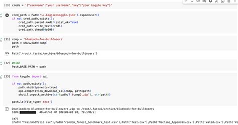 kaggle api issue chapter 9 tabular part 1 2022 fast ai course forums
