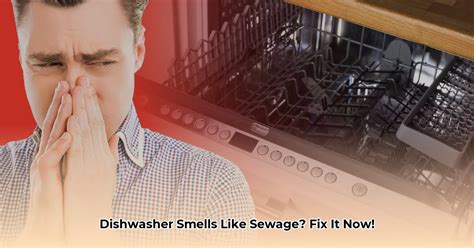 How To Fix A Dishwasher That Smells Like Sewage Causes Solutions