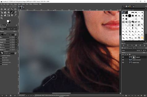 GIMP Blur Background Different Steps Of GIMP Blur Background