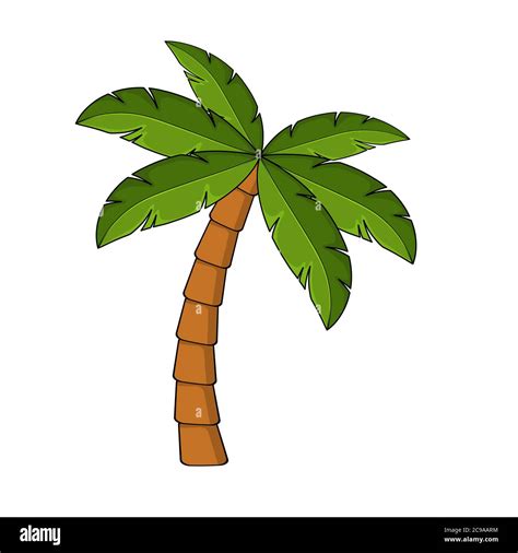Palm Tree Cartoon Isolated On White Single Palm Clipart Template For Poster Or Postcard