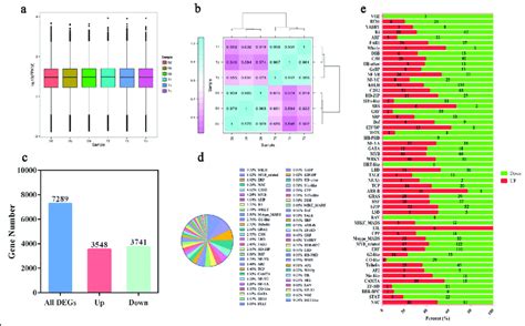 Summary Of Illumina Sequencing Based On The Full Length Transcriptome