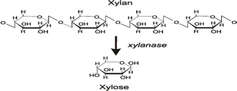 Exogenous Fibrolytic Enzymes In Ruminants Sr Publications