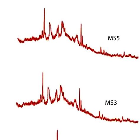 Sagittal Section Of Tongue Of Mice On Day 28 Download Scientific Diagram
