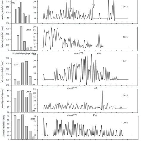 Cumulative Monthly Rainfall Bar Graph And Daily Rainfall Distribution
