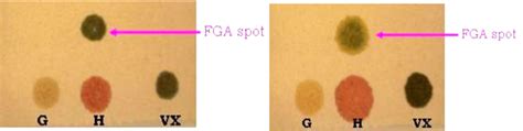 Cbrn M8 Paper Improvements The U S Armys Preventive Maintenance