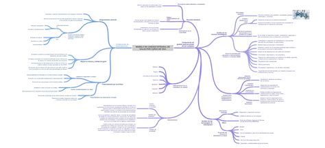 Modelo De Cuidado Integral De Salud Por Curso De Vida Image Coggle
