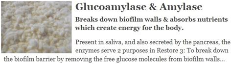 Biofilm Protocol Nffb Native Formulas