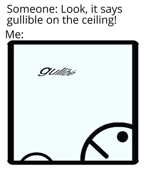 Yo It Says Gullible On The Ceiling Rantimeme