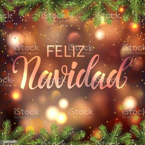 펠리즈 나비다드 빛나는 배경에서 스페인어로 메리 크리스마스 전나무 가지와 눈송이 벡터 일러스트 레이 션 Feliz Navidad Spanish Phrase에 대한 스톡