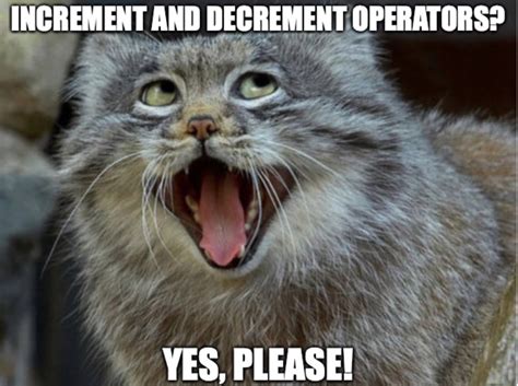 Decrement And Increment Operators In Java By Anna Scott Medium