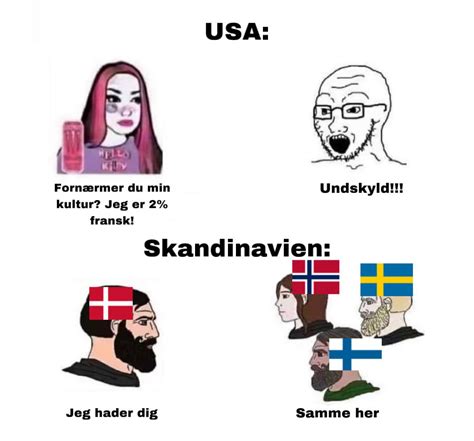Amerikanerne Forstår Det Ikke Rdankmark
