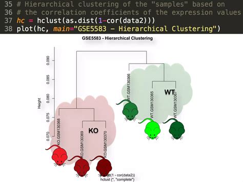 Simple Microarray Analysis Using R Ppt