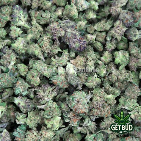 Raspberry Cookies Small Buds 🔥 Deal 🔥 Get Bud Online Usa
