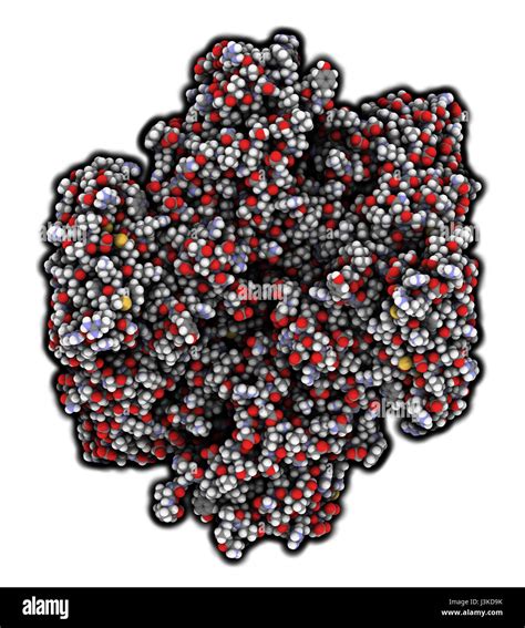 Fibrin Structure