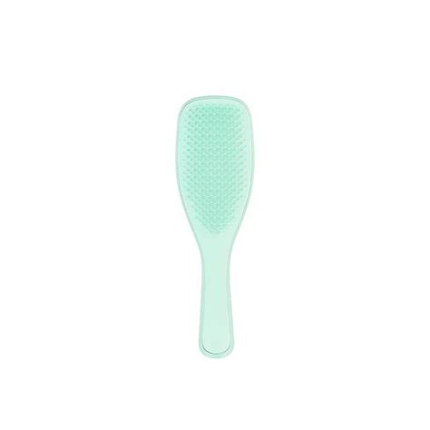 Buy Tangle Teezer Detangling Hairbrush Fine Fragile Mint Switzerland