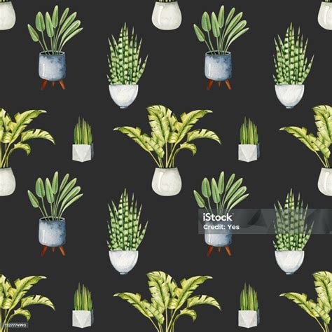 水彩植木植物のシームレスなパターン黒と白の鉢のホーム植物暗い背景に手描きのイラスト 花瓶のベクターアート素材や画像を多数ご用意 花瓶