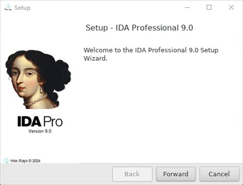 IDA PRO floating版安装和连接许可服务器教程 IDA中文网站
