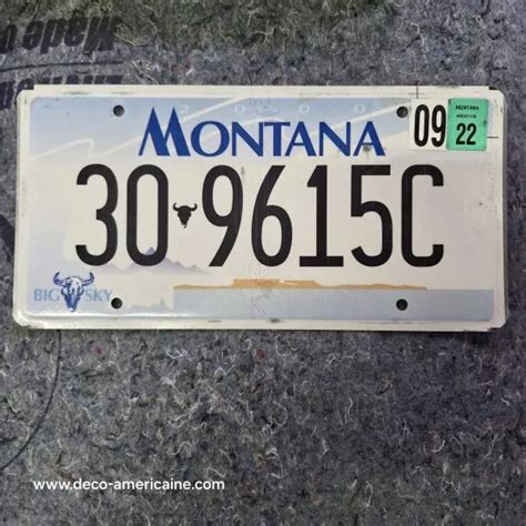 Plaque d immatriculation américaine MONTANA Big Sky