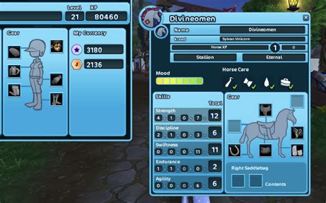 Sold Sso Lifetime Acc Lvl 21 Epicnpc