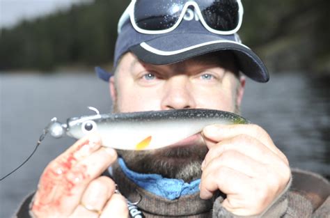 Erik Walmann Melder Inn Sin 10 Ende Fisk For året Pikewallis