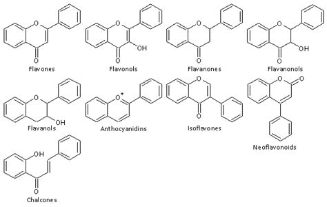 What Are Flavonoids Definition Structure And Chemical Classification