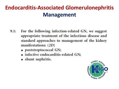 Infection Related Glomerulopathy Introduction Rapid Overview