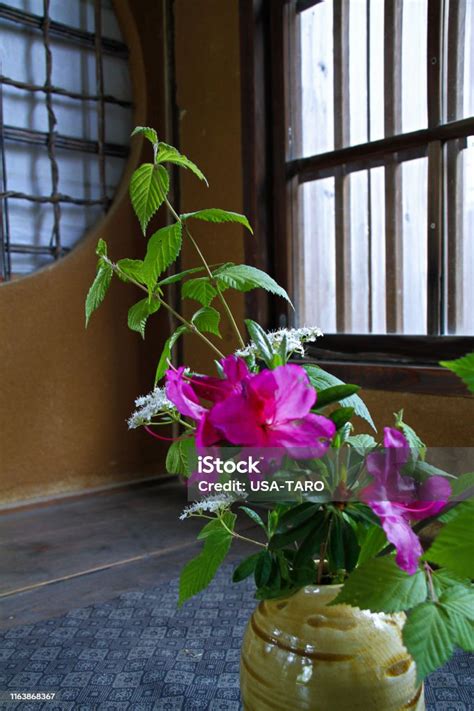 이케바나 일본 전통 꽃꽂이 여름 각성 0명에 대한 스톡 사진 및 기타 이미지 0명 개념 개념과 주제 Istock