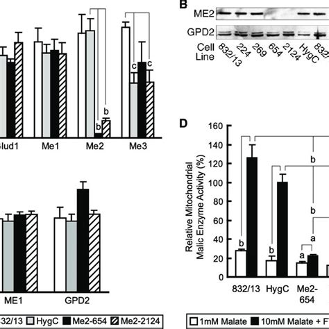 Stable Knockdown Of The Cytosolic Malic Enzyme By An Improved