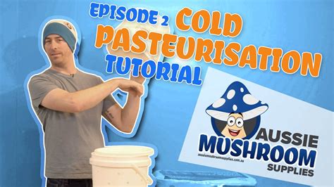 Home Growing Mushroom Tutorial Cold Pasteurisation Episode 2 Youtube