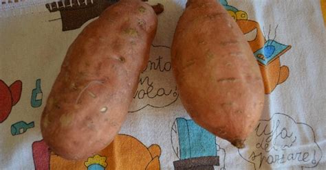 Il Mio Mondo La Patata Dolce Coltivata Come Pianta D Interno