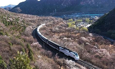 北京昌平居庸关铁道旁山桃花盛开 开往春天的列车驶入花海