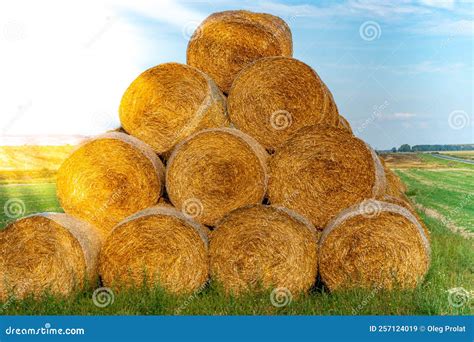 Stacked Hay Bales After Harvest At The Edge Of The Field With Sun Rays
