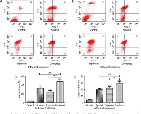 Figure 5 From The Coordinated Effects Of Apatinib And Tripterine On The Proliferation
