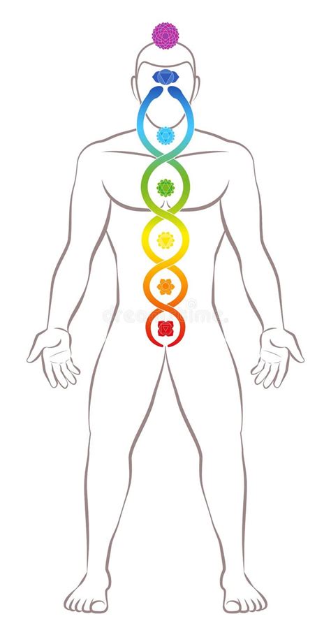 Kundalini Serpent Rainbow Stock Illustrations 18 Kundalini Serpent
