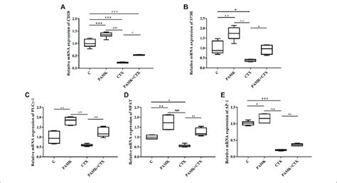 Effects Of Pamk On Cd28 And Downstream Signal Pathways In Mice