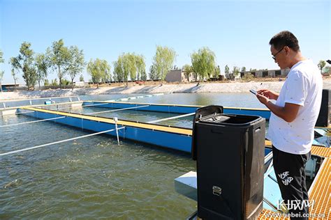河北南皮智慧养鱼新模式 开启致富加速度 沧州频道 长城网