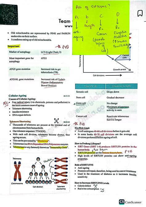 SOLUTION Autophagy Free Radical Injury PATHOPHYSIOLOGY Prepladder Next Fmge Pg Exam Studypool