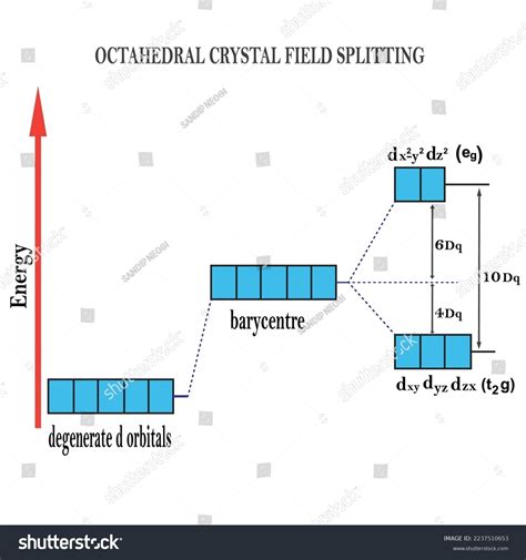 Octahedral Crystal Field Splitting Coordination Compounds Stock Vector