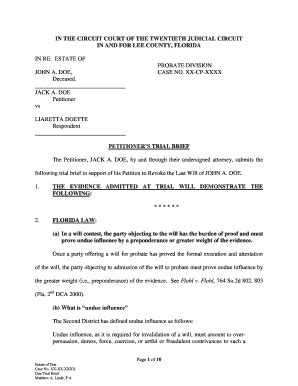 XX CP XXXX Fill And Sign Printable Template Online