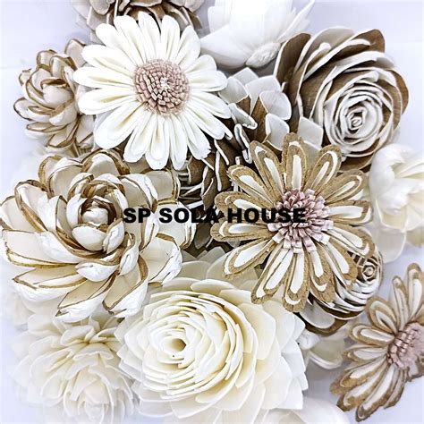 White Brown Mixed Assortment Sola Flower Export