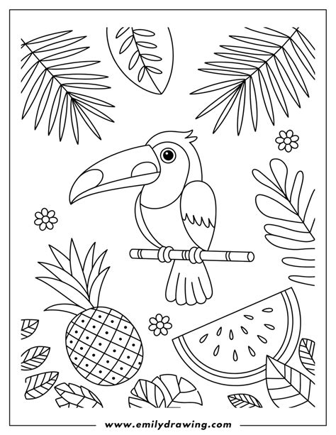 Toucan Coloring Pages Emily Drawing