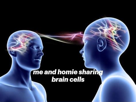 me and homie sharing same brain cells xD | Brain meme, Funny reaction ...