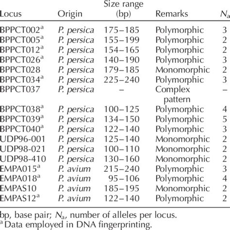 Simple Sequence Repeat Markers Assayed And Polymorphism Obtained In The Download Table