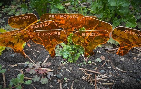 Root Vegitable Collection Of 10 Garden Stakes Etsy